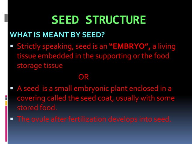 SEED STRUCTURE.ppt | Geology | Science