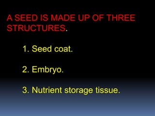 SEED STRUCTURE.ppt