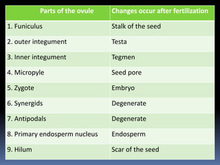 SEED STRUCTURE.ppt
