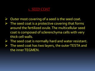 SEED STRUCTURE.ppt