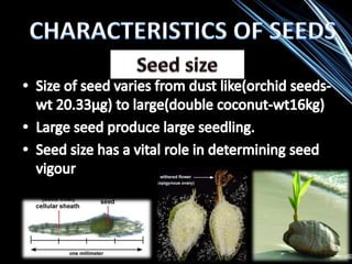 Seed structure and development | PPTX