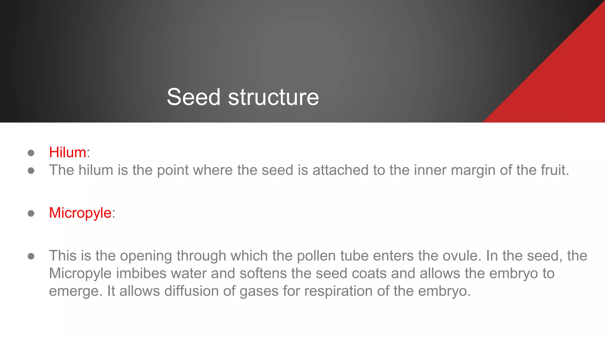 Seed structure and germination | PPTX
