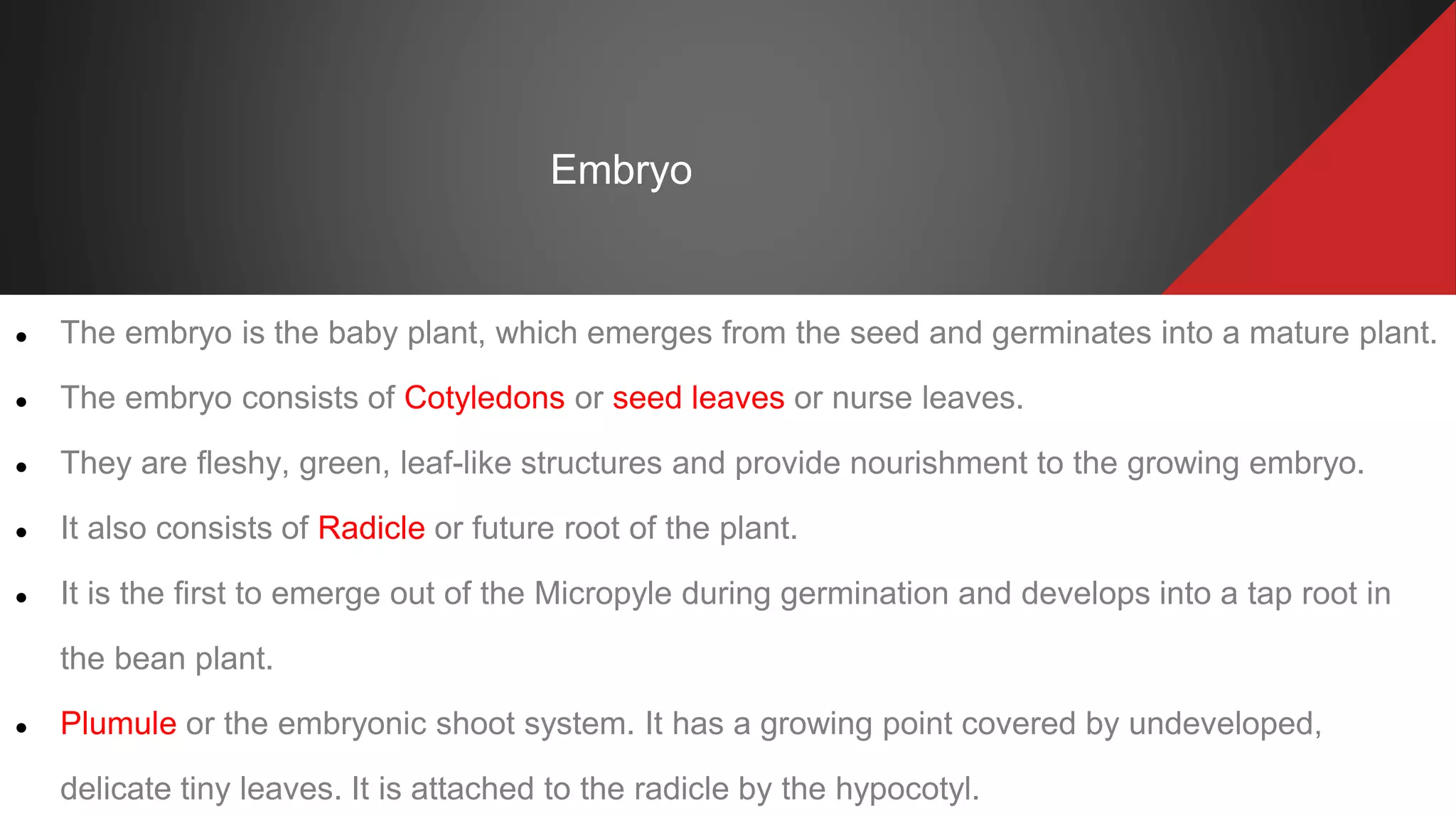 Seed structure and germination | PPTX