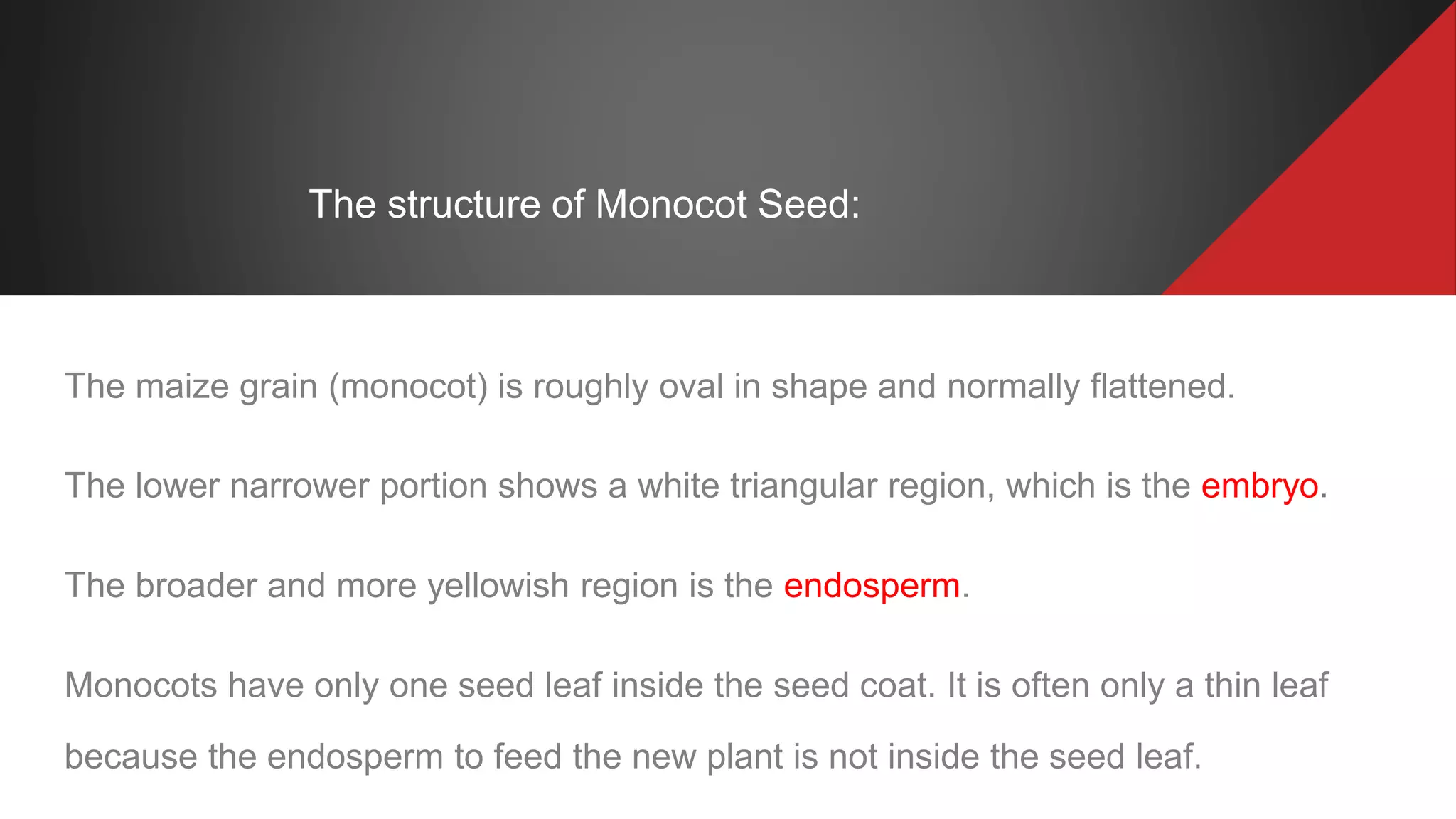 Seed structure and germination | PPTX