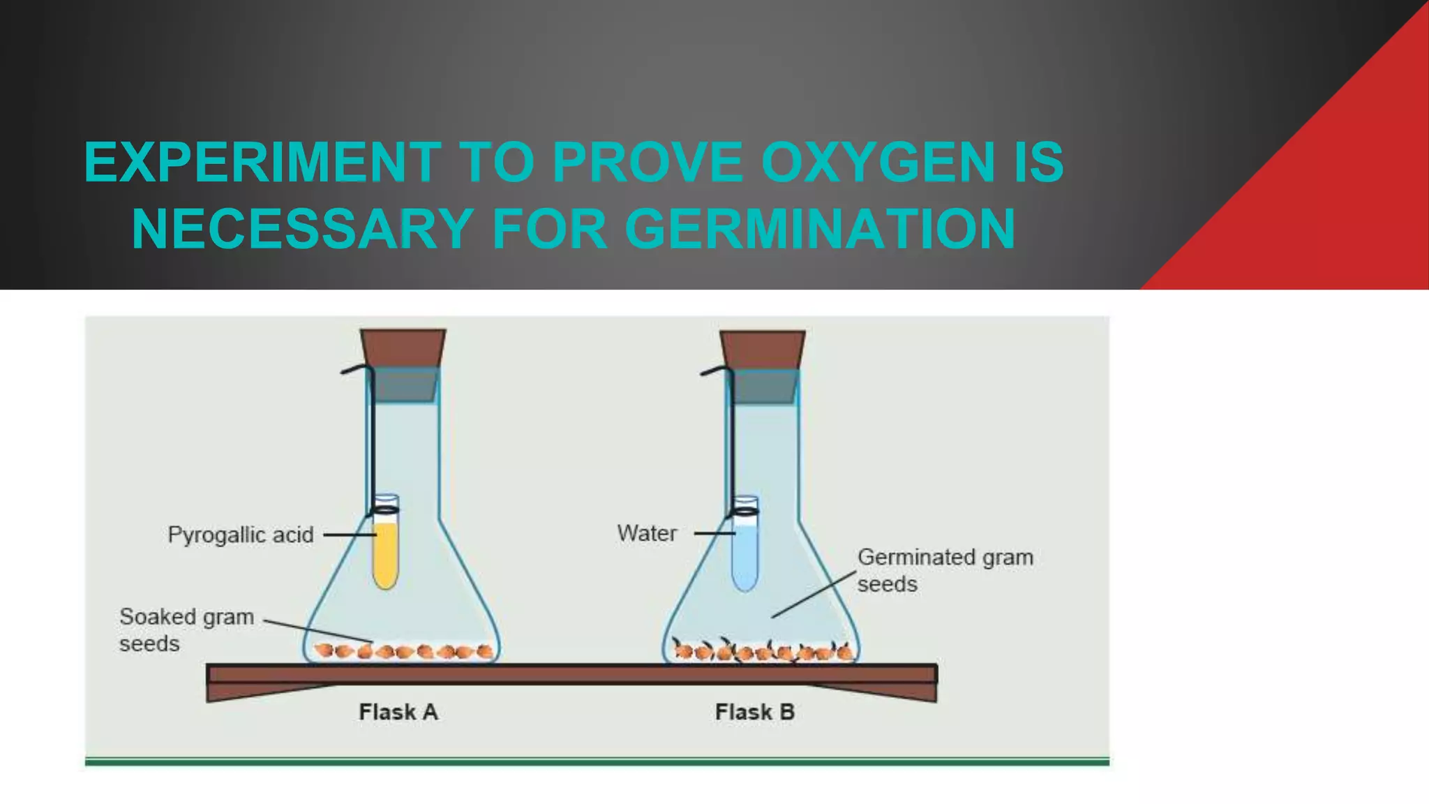 Seed structure and germination | PPTX