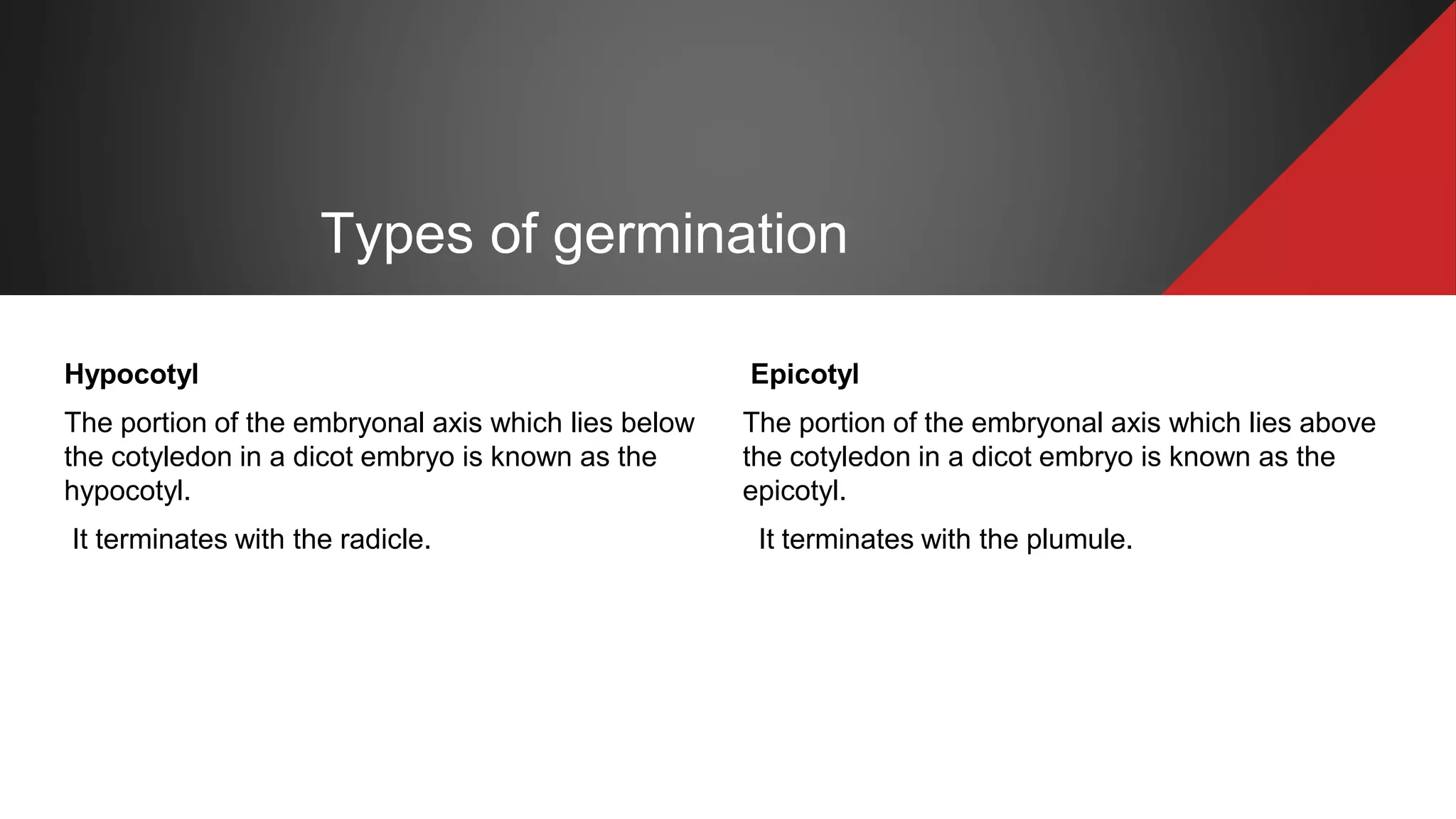 Seed structure and germination | PPTX