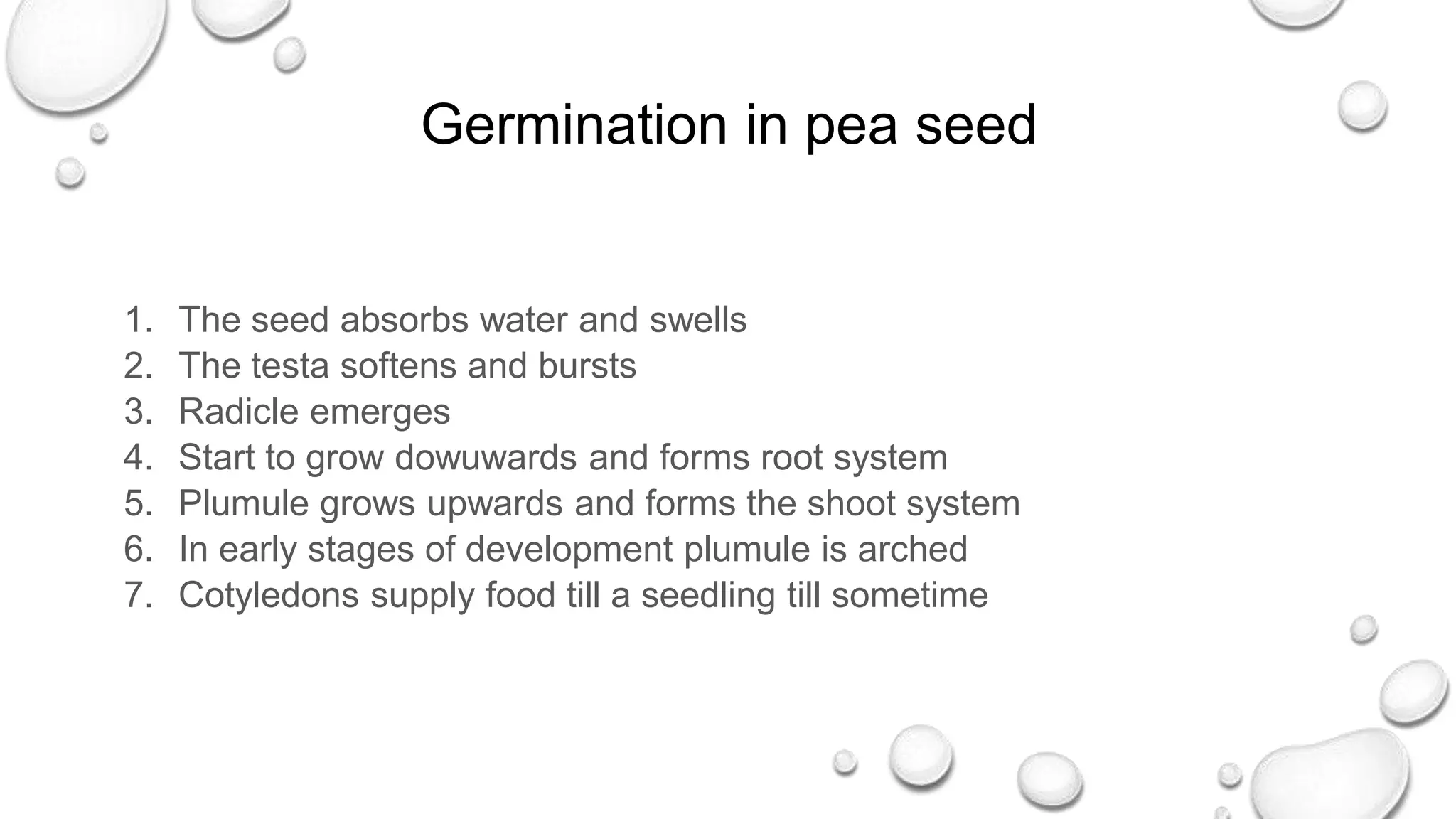 Seed structure and germination | PPTX