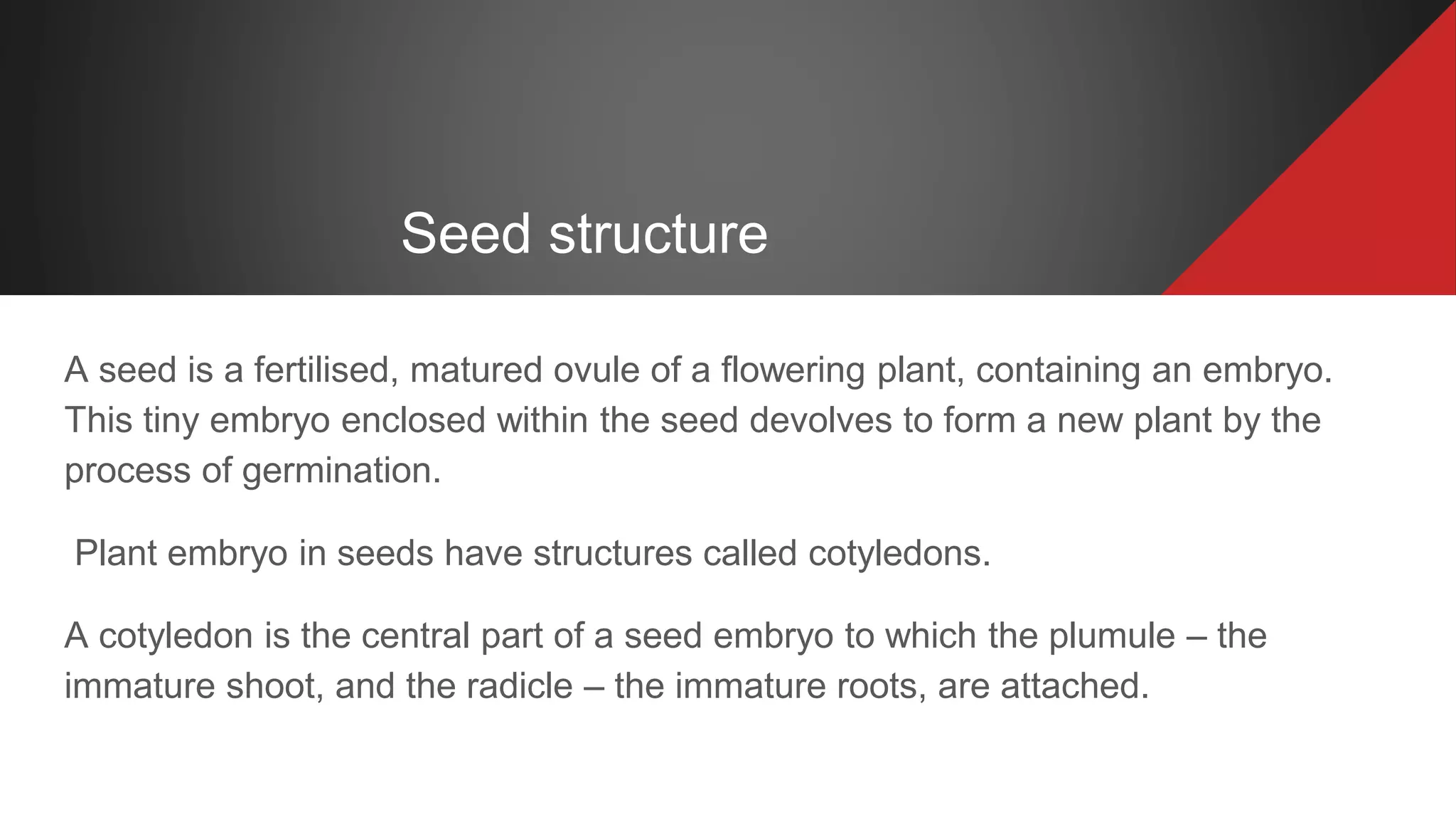 Seed structure and germination | PPTX