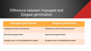 Seed structure and germination | PPTX