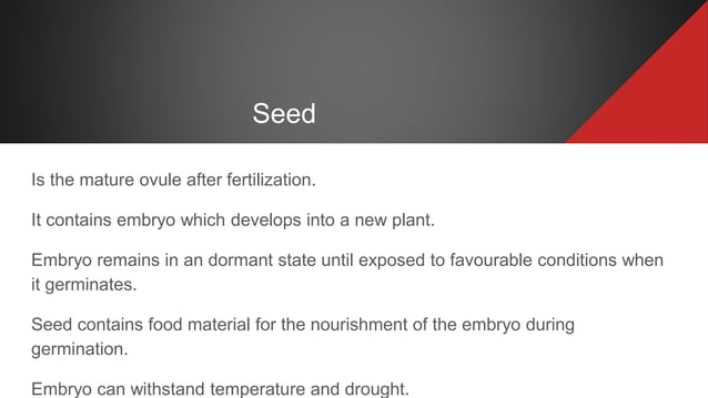 Seed structure and germination | PPTX | Gardening | Home & Garden