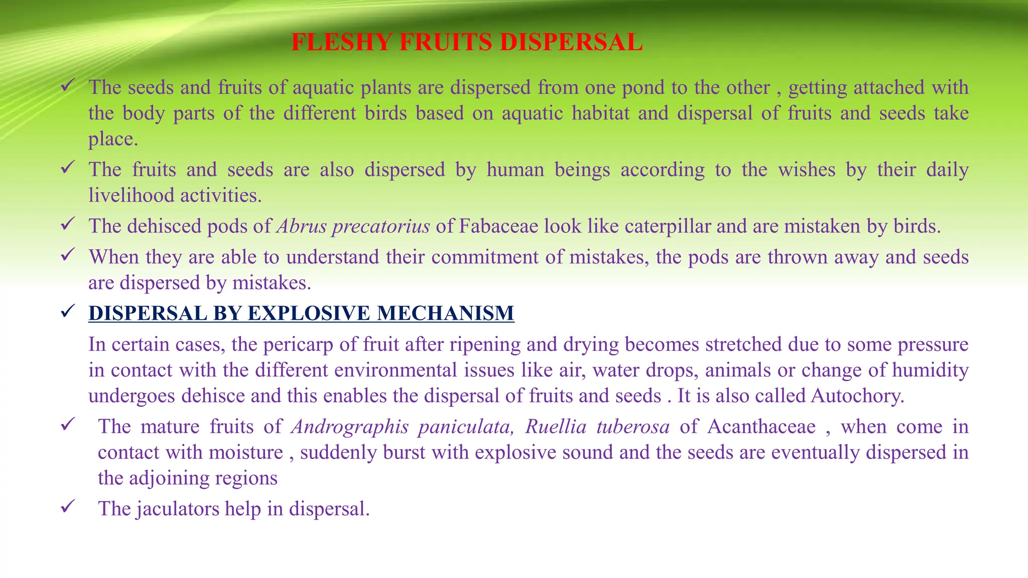 Seed Structure, Dispersal and Ecological Significance | PDF