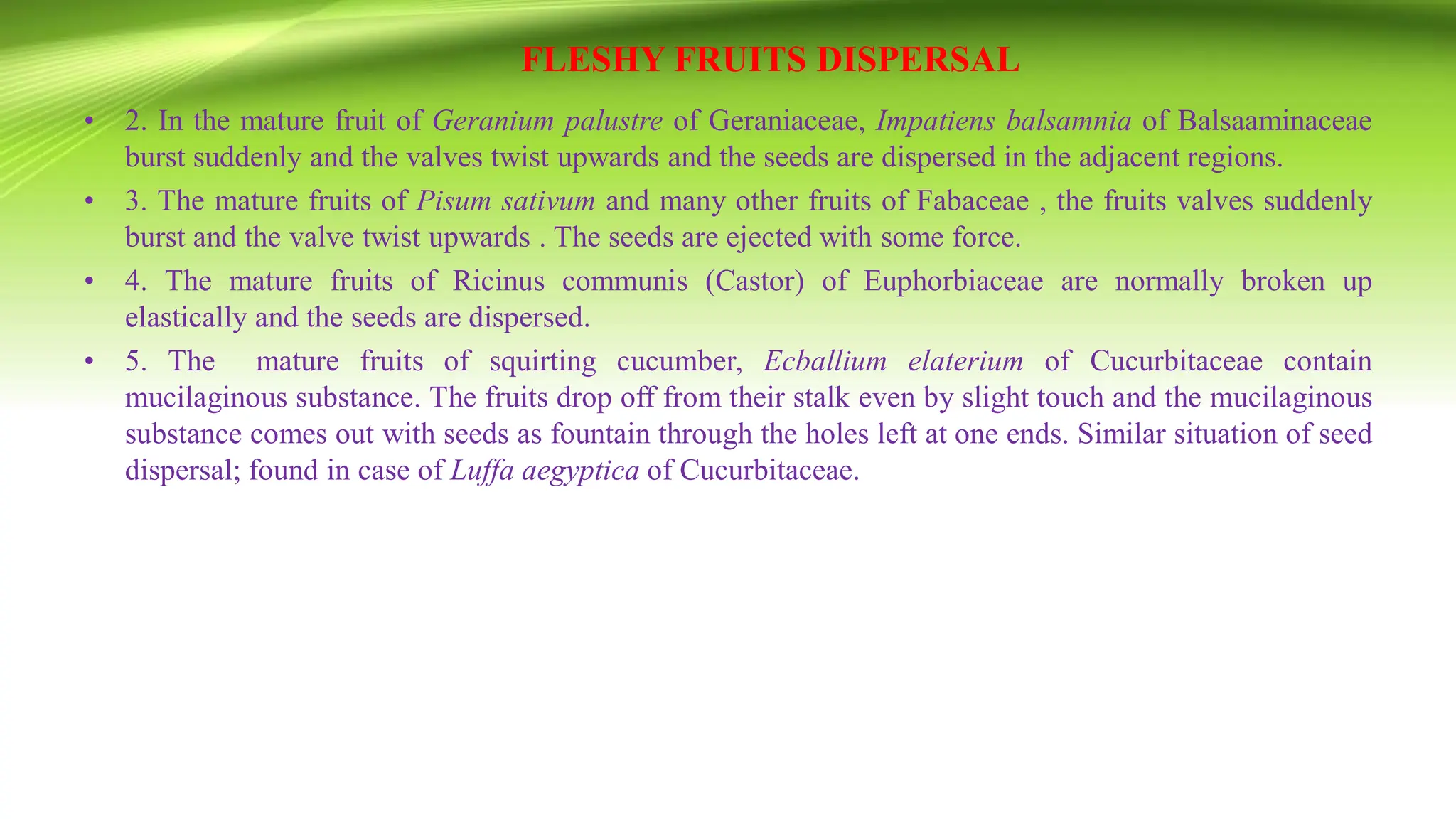 Seed Structure, Dispersal and Ecological Significance | PDF