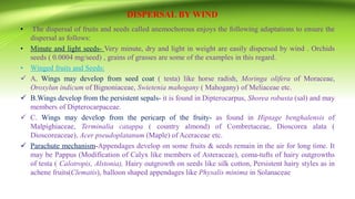 Seed Structure, Dispersal and Ecological Significance | PDF