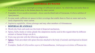 Seed Structure, Dispersal and Ecological Significance | PDF