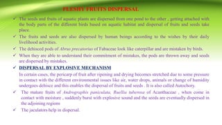 Seed Structure, Dispersal and Ecological Significance | PDF