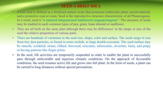 Seed Structure, Dispersal and Ecological Significance | PDF