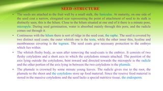 Seed Structure, Dispersal and Ecological Significance | PDF