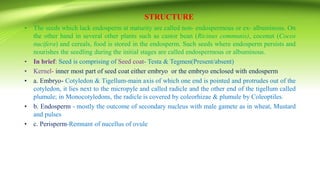 Seed Structure, Dispersal and Ecological Significance | PDF