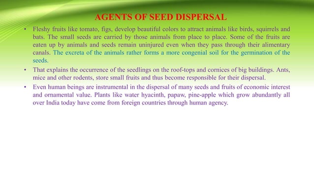Seed Structure, Dispersal and Ecological Significance | PDF