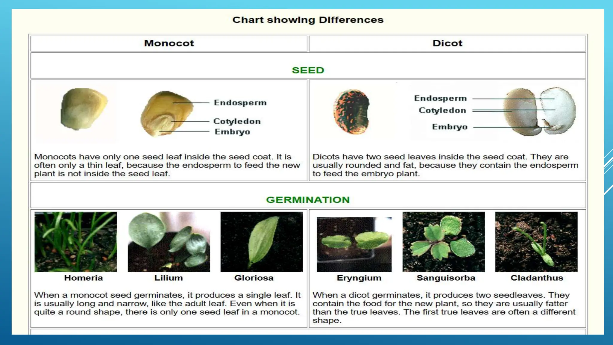 Dispersal mechanism in seed(by water and animal ) | PPT