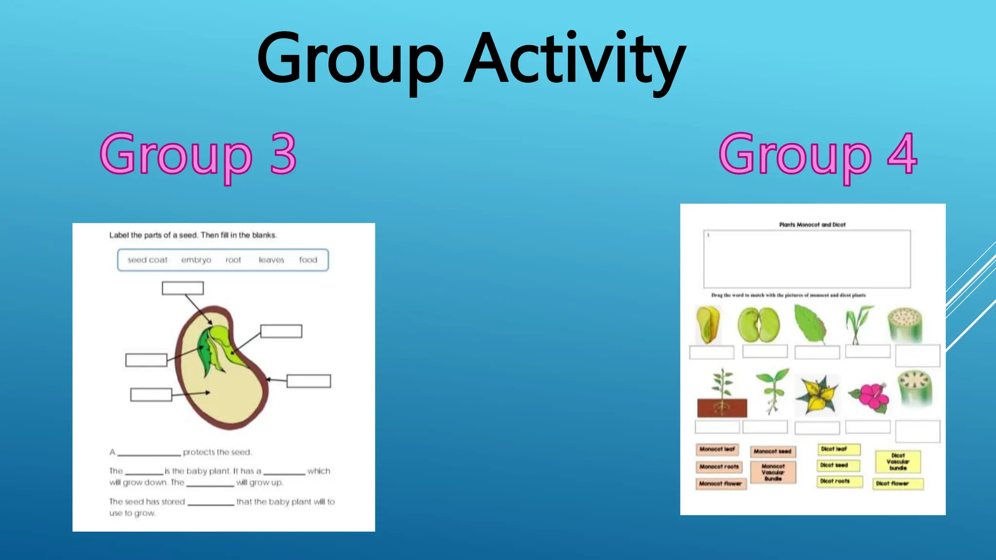 Dispersal mechanism in seed(by water and animal ) | PPT