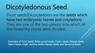 Dispersal mechanism in seed(by water and animal ) | PPT