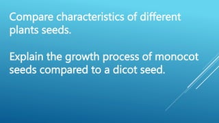 Dispersal mechanism in seed(by water and animal ) | PPT