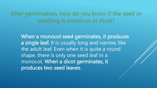 Dispersal mechanism in seed(by water and animal ) | PPT