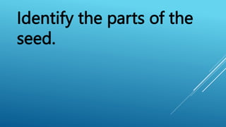 Dispersal mechanism in seed(by water and animal ) | PPT