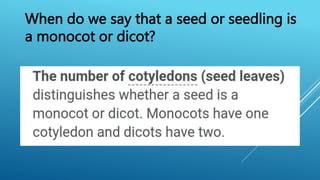 Dispersal mechanism in seed(by water and animal ) | PPT
