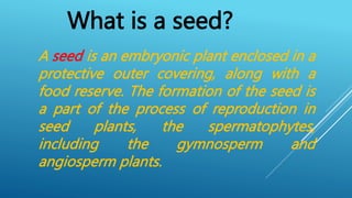 Dispersal mechanism in seed(by water and animal ) | PPT