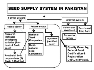 SEED SYSTEM IN PAKISTAN (STANDARDS AND PROCEDURES) | PDF