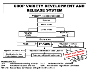 SEED SYSTEM IN PAKISTAN (STANDARDS AND PROCEDURES) | PDF