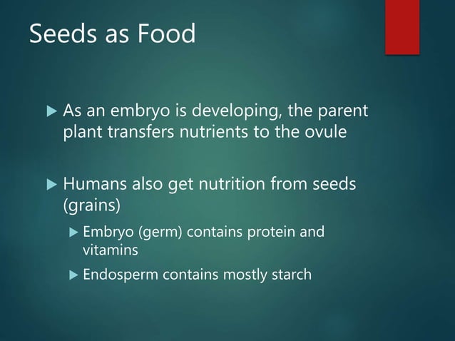 Seed Technology | PPTX