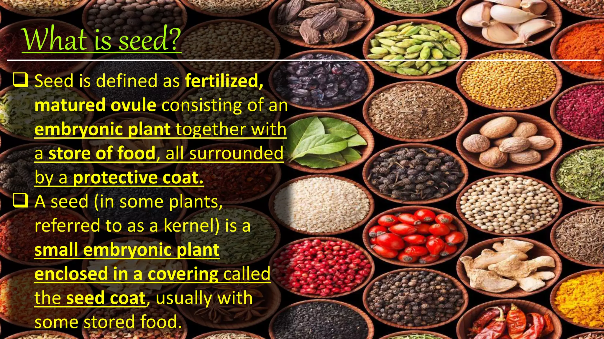 Seed Technology | PPTX