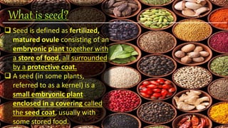 Seed Technology | PPTX