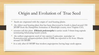 Seed technology | PPTX