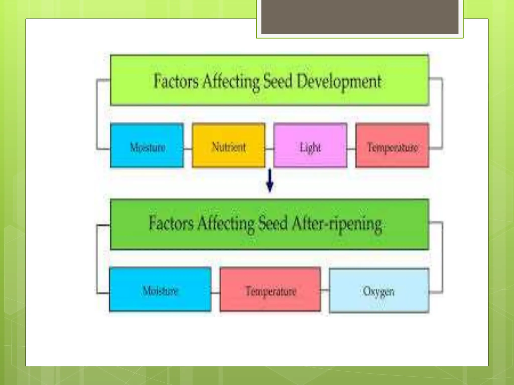 Seed technology concept, Seed formation, Structure, types of seed ...