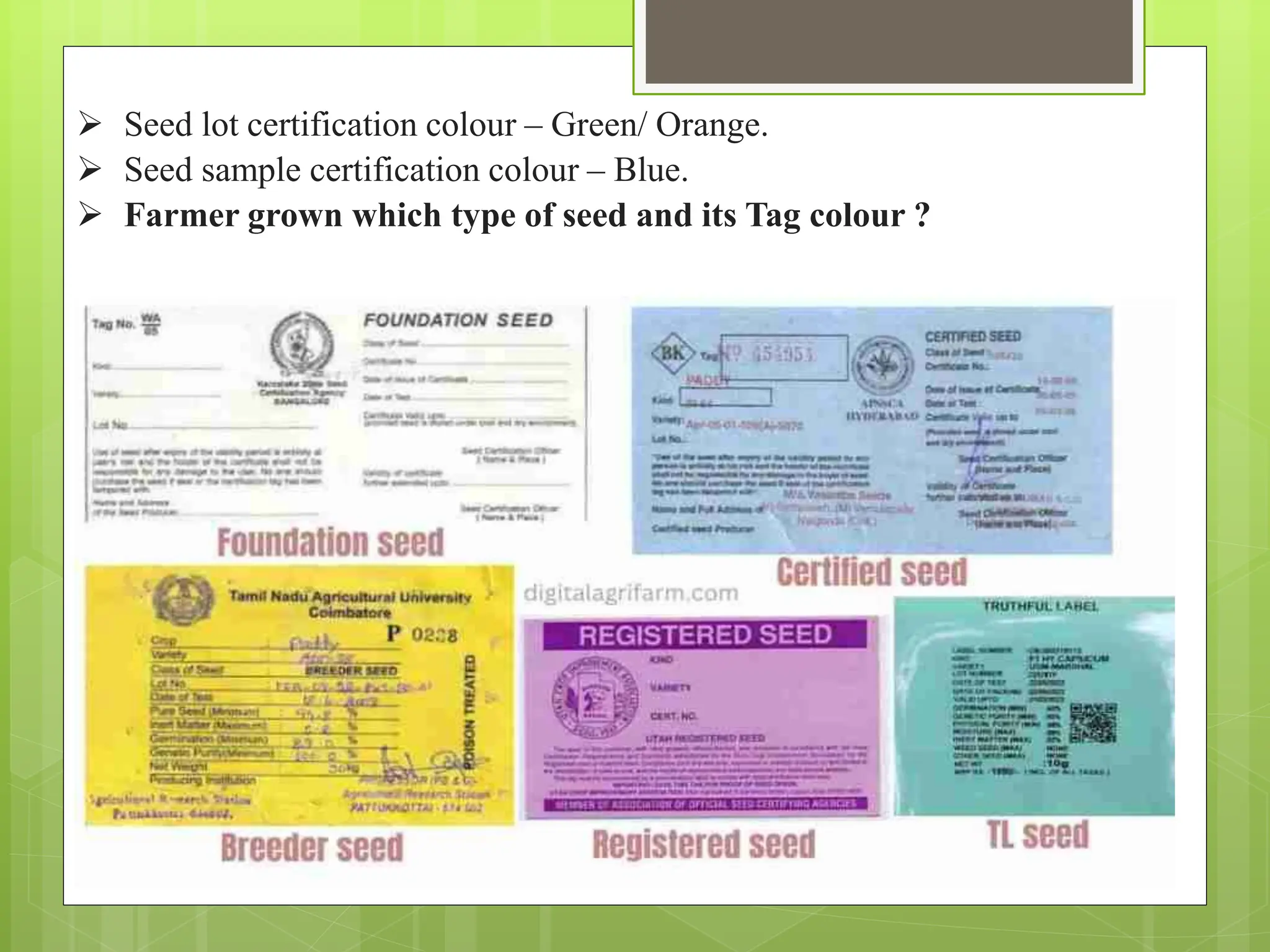 Seed technology concept, Seed formation, Structure, types of seed ...