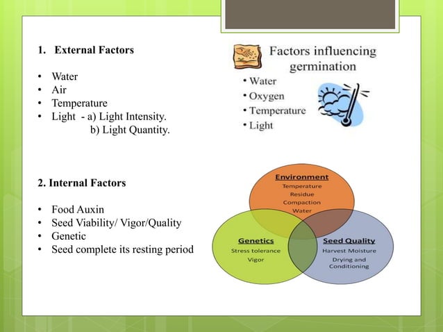 Seed technology concept, Seed formation, Structure, types of seed ...