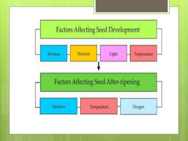 Seed technology concept, Seed formation, Structure, types of seed germination, role, goals and ...