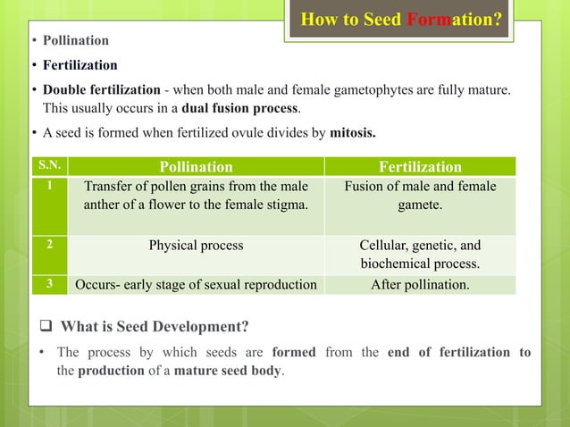 Seed technology concept, Seed formation, Structure, types of seed germination, role, goals and ...