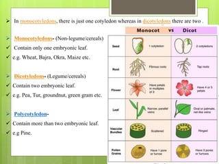 Seed technology concept, Seed formation, Structure, types of seed ...
