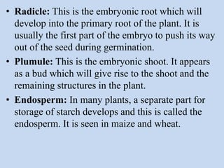 seed techonology.pptx