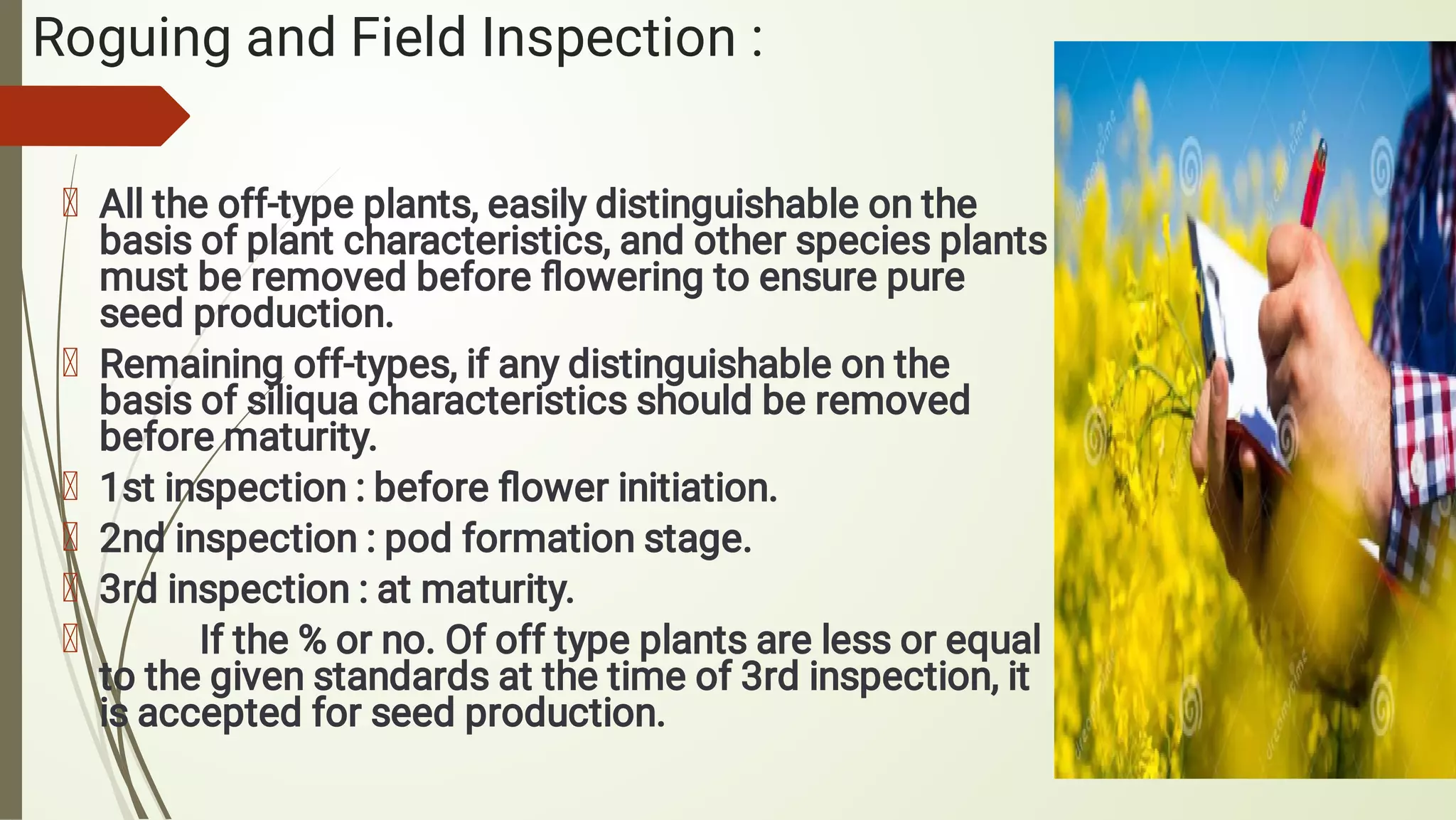 Seed tech ppt. mustard | PDF