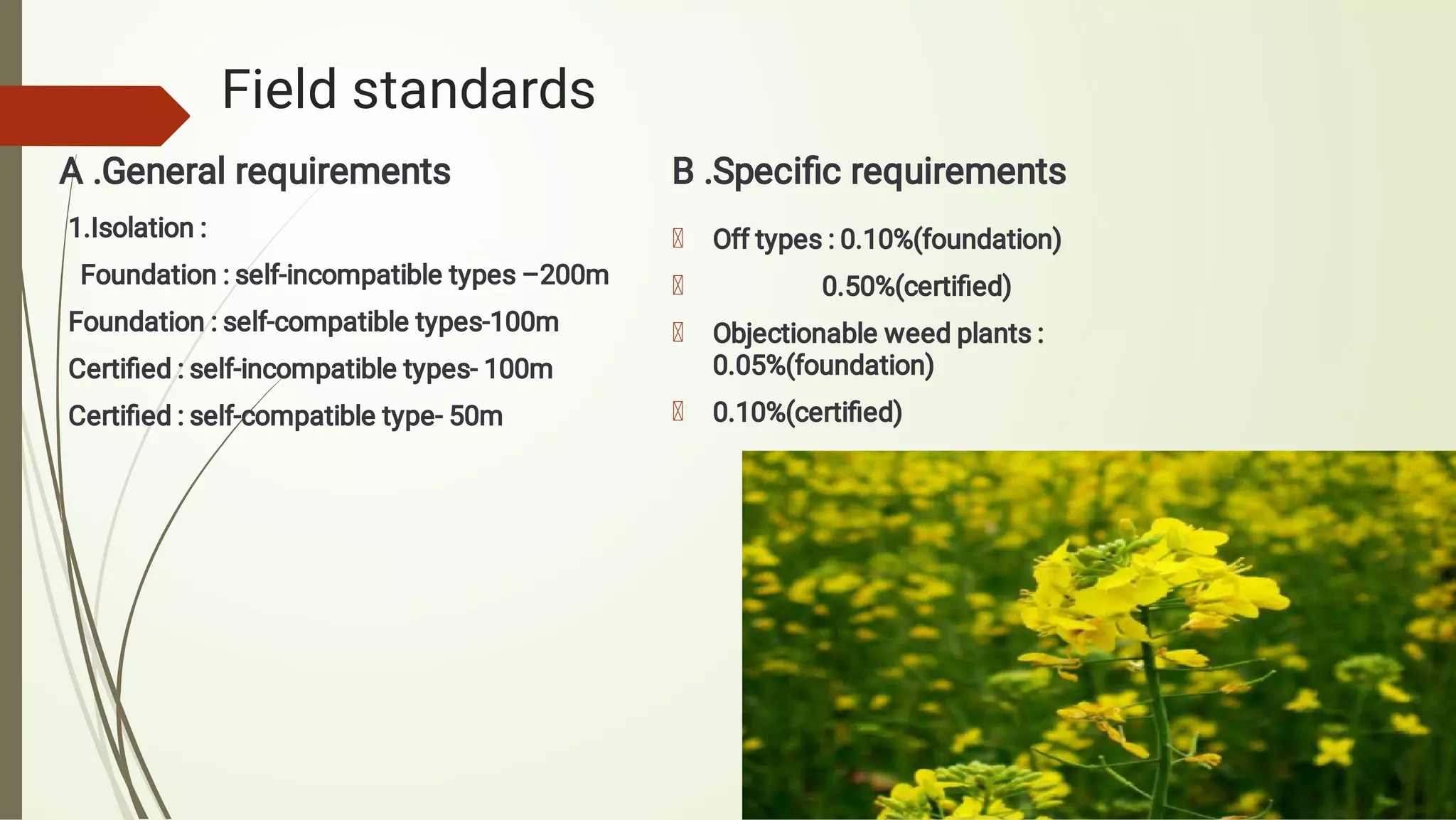 Seed tech ppt. mustard | PDF