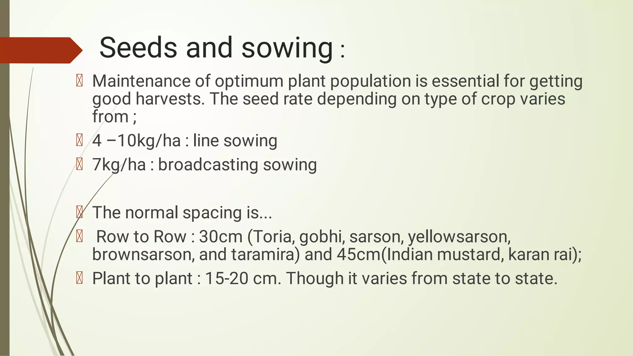 Seed tech ppt. mustard | PDF