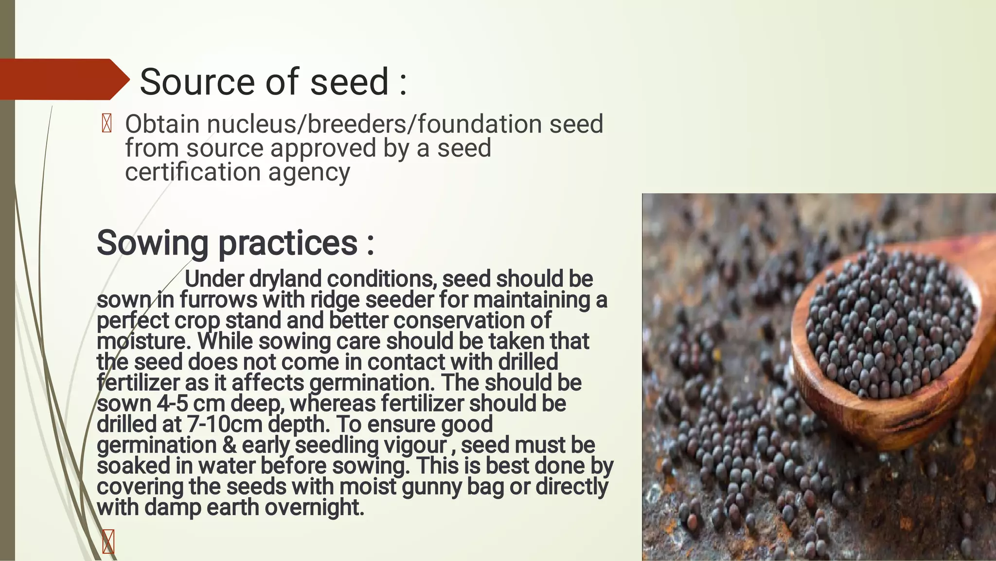 Seed tech ppt. mustard | PDF