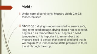 Seed tech ppt. mustard | PDF
