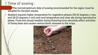 Seed tech ppt. mustard | PDF